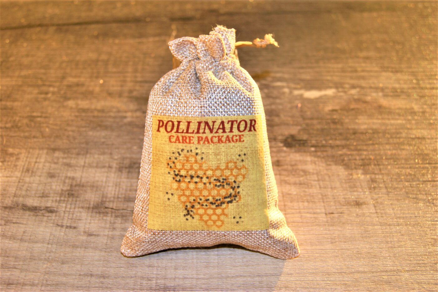 Seed Bomb Stress Pillows - Moneyless Society - Save the Bees!